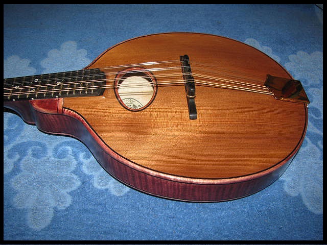 The Cricket Fiddle Instrument Co.- Mankato Minnesota