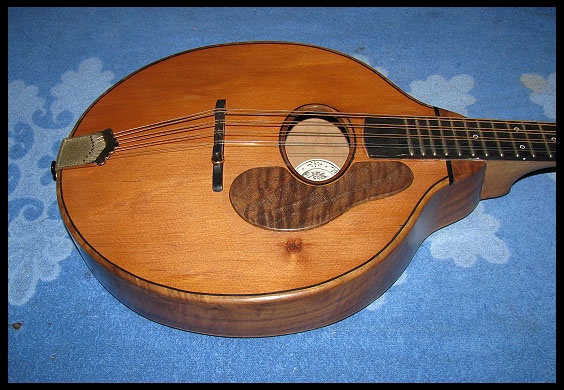 The Cricket Fiddle Instrument Co.- Mankato Minnesota