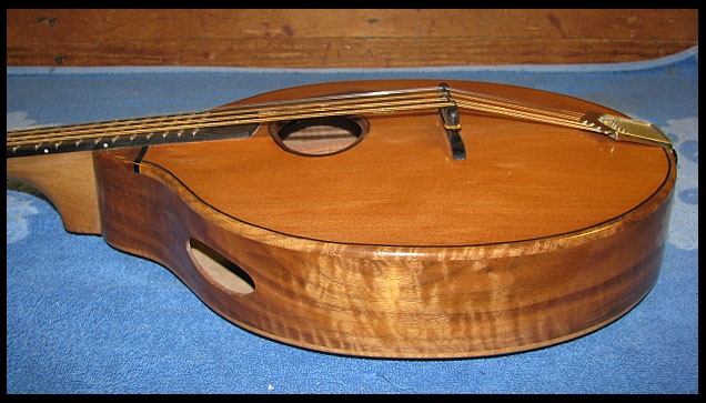 The Cricket Fiddle Instrument Co.- Mankato Minnesota