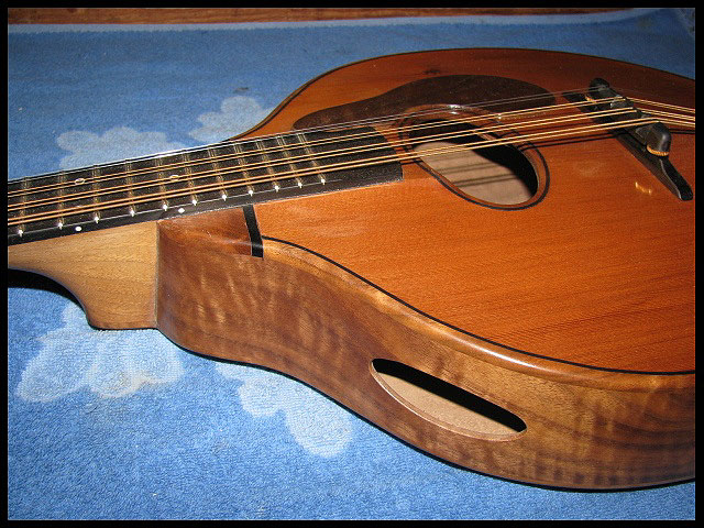 The Cricket Fiddle Instrument Co.- Mankato Minnesota