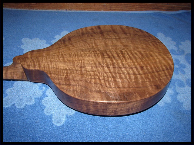 The Cricket Fiddle Instrument Co.- Madelia, Minnesota