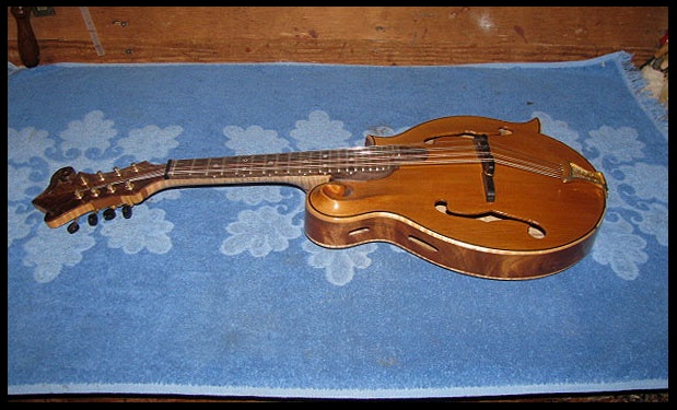 The Cricket Fiddle Instrument Co.- Mankato Minnesota