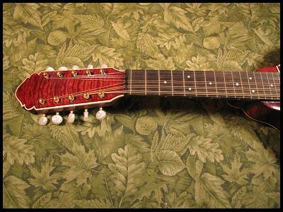 The Cricket Fiddle Instrument Co.- Mankato Minnesota