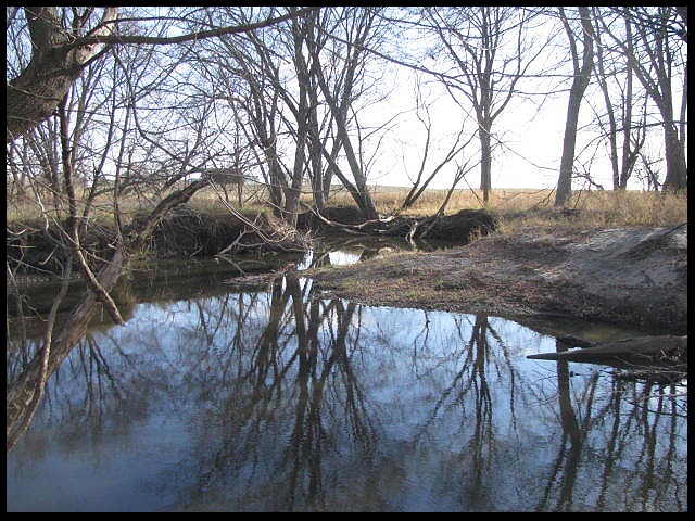 The Cricket Fiddle Instrument Co.- Madelia, Minnesota